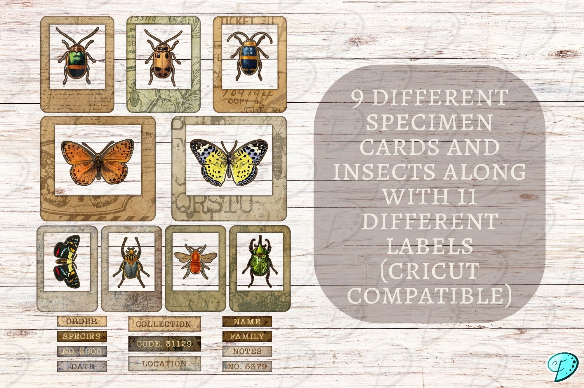 Easy-peasy Specimen Cards Printable Mini Kit | Ephemera | Vintage ...
