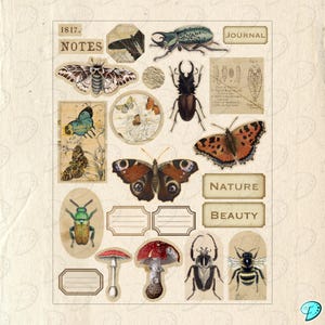 Entomology Snippets Ephemera Printable | Digital | Insect | Distressed ...