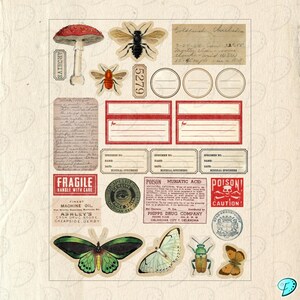Entomology Snippets Ephemera Printable | Digital | Insect | Distressed ...