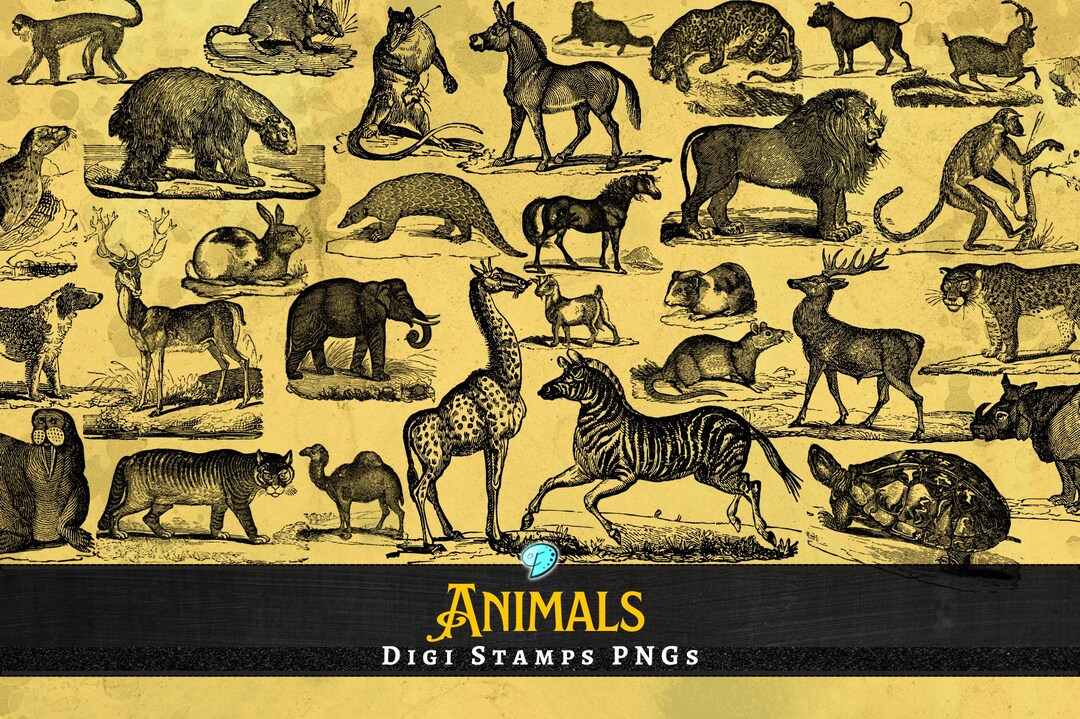 Animals Digi Stamps Bundle | Digital | Overlay | Distressed | Junk ...