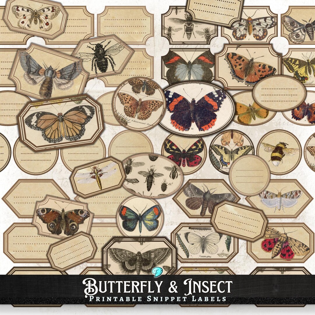 Butterfly and Insect Snippet Labels | Digital | Distressed | Junk ...