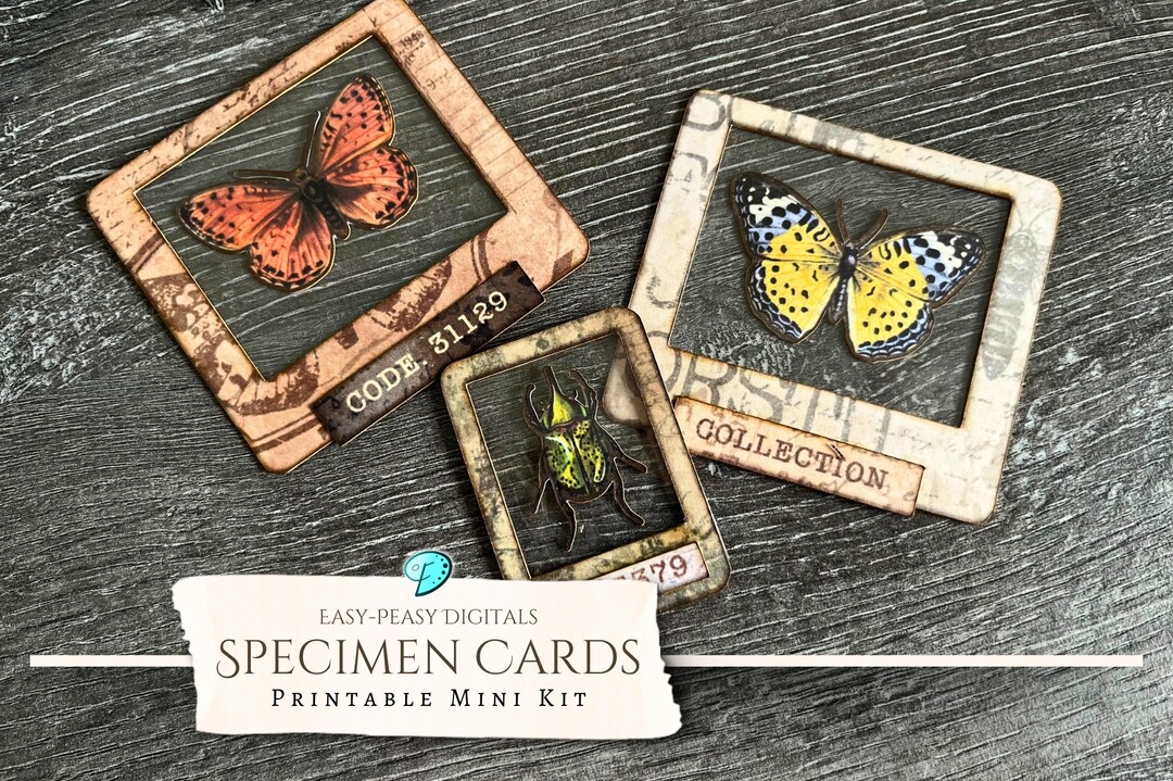Easy-peasy Specimen Cards Printable Mini Kit | Ephemera | Vintage ...