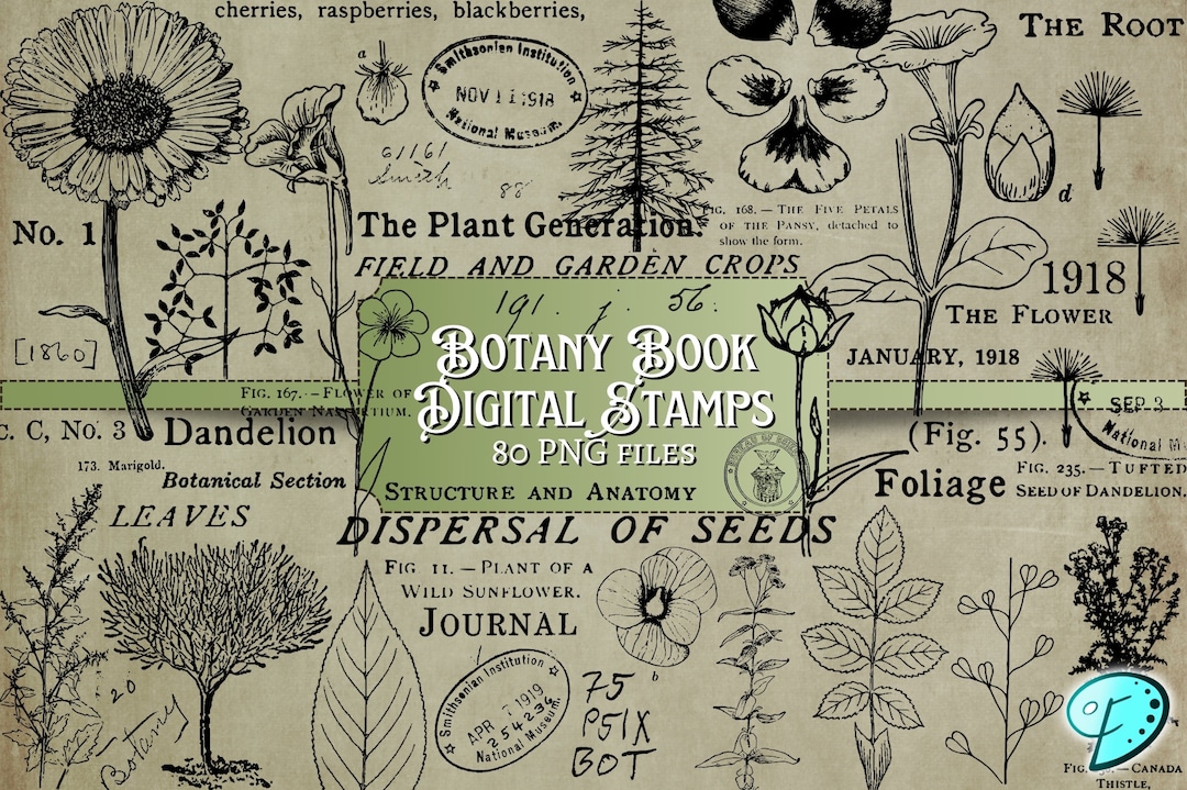 Botany Book Digi Stamps | Digital | Overlay | Distressed | Junk Journal ...