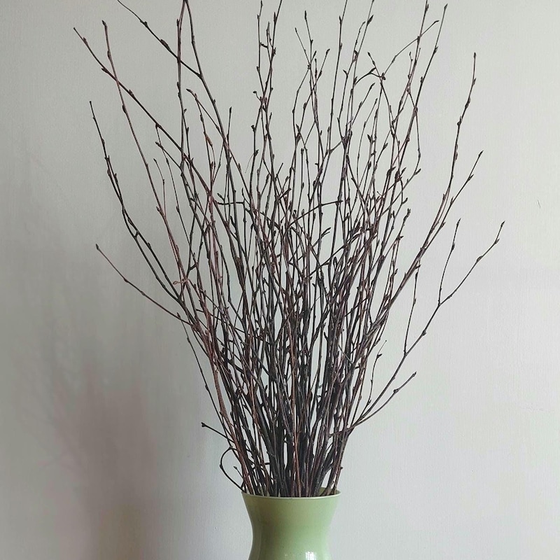 Rustic Twig Branches - Etsy