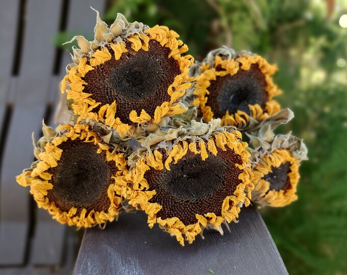 Dried Sunflowers, Dried Sunflower Bouquet, Golden Sunflower, Sunflower ...