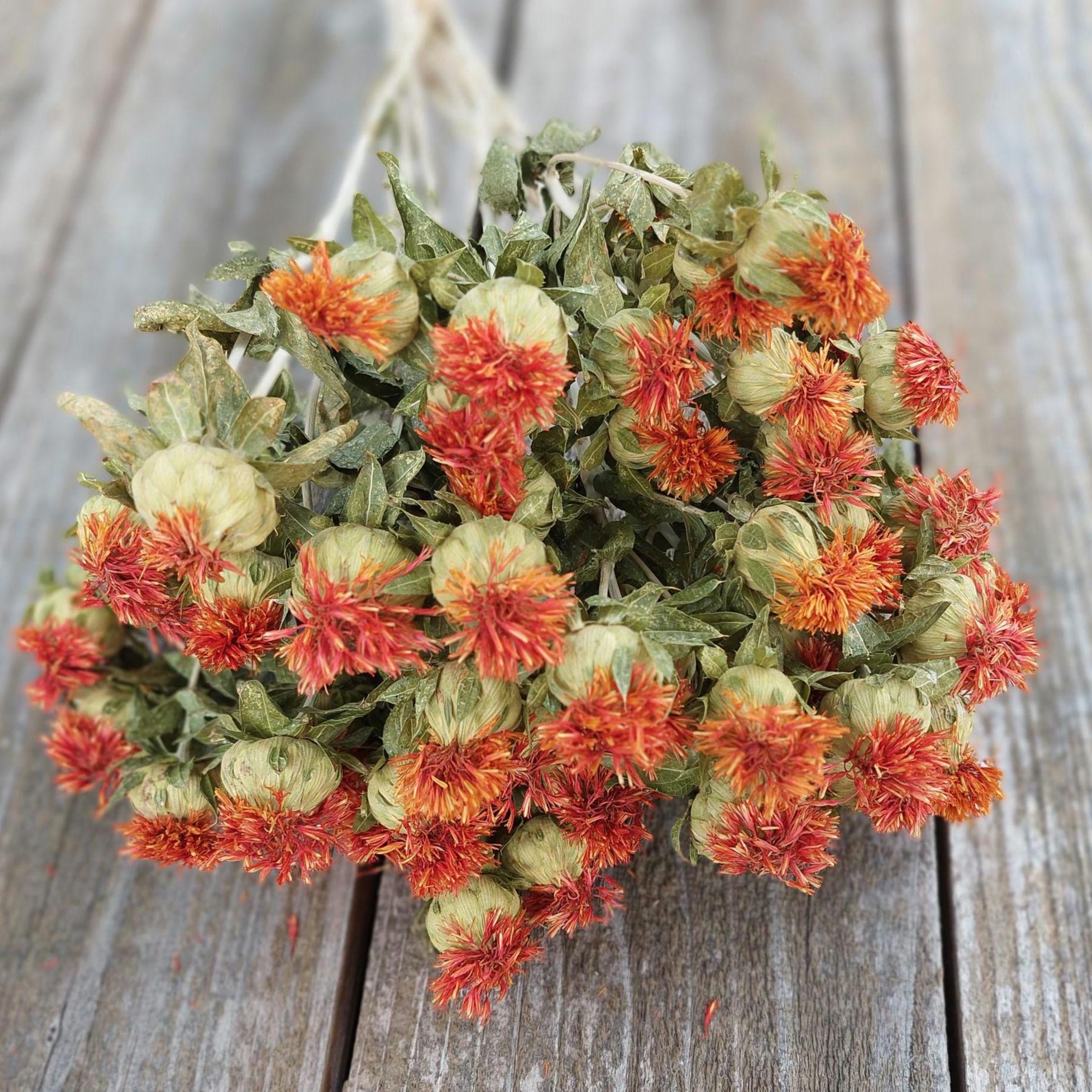 Vibrant Orange Dried Safflower Bunch: Boho Chic Fall Wedding Bouquets ...
