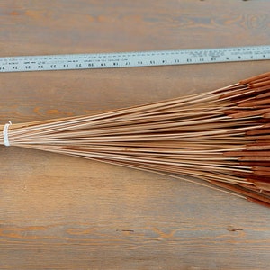 Dried Bunch of 100 Pencil Cattails, Mini Cattails, Fall Decor, Autmun ...