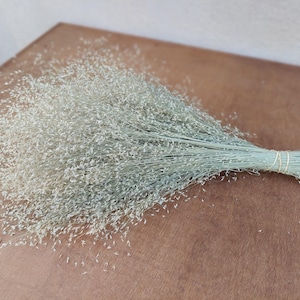 Dried Indian Rice Grass, Ornamental Grass Dried Grains Filler for DIY ...