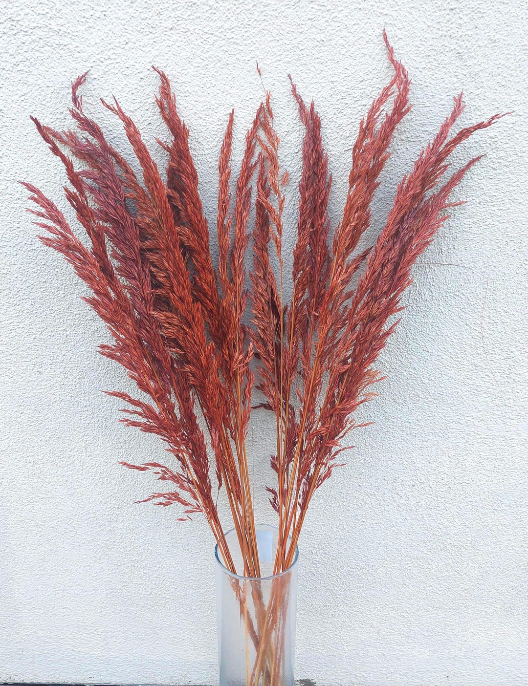 Tall Dried Reed Grasses for Fall Decorating: Rustic Farmhouse Decor - Etsy