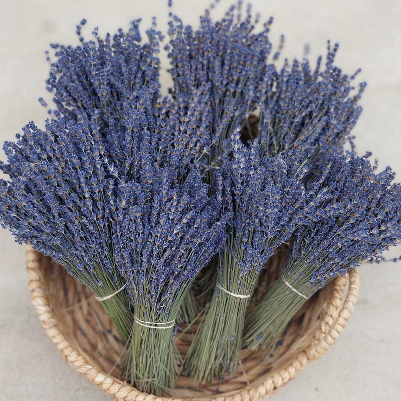 Lavender Bunch - Etsy