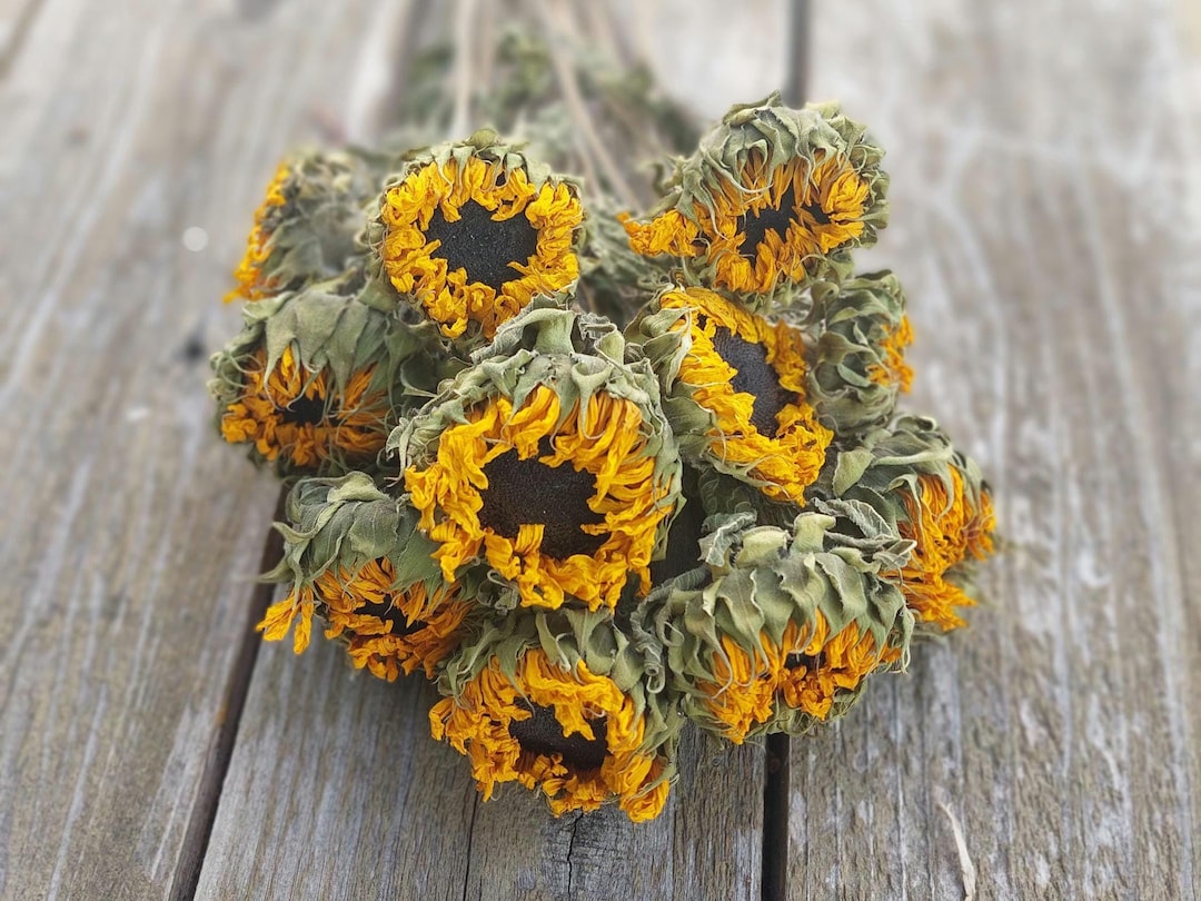 Dried Sunflowers, Dried Sunflower Bouquet, Golden Sunflower, Sunflower ...