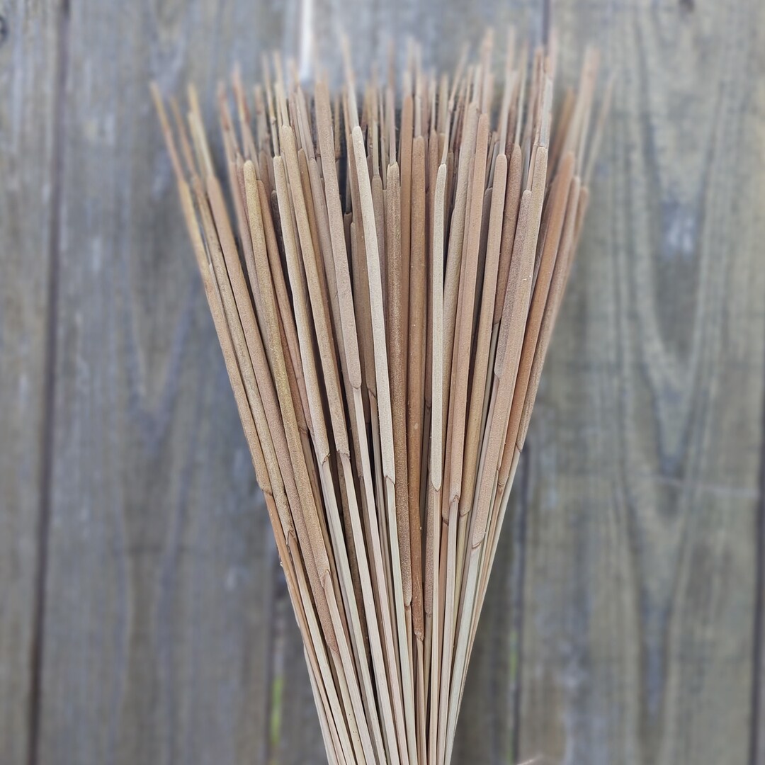 Dried Bunch of 100 Pencil Cattails Light Brown, Mini Cattails, Fall ...