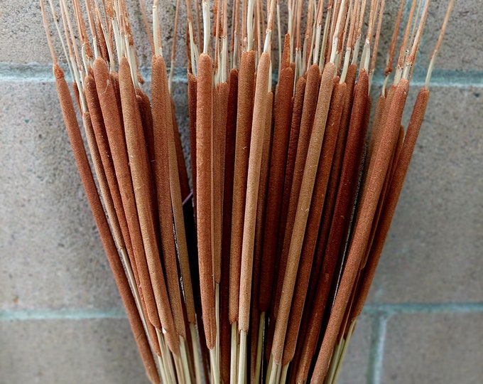 Dried Bunch of 100 Pencil Cattails, Mini Cattails, Fall Decor, Autmun ...