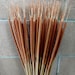 Dried Bunch of 100 Pencil Cattails, Mini Cattails, Fall Decor, Autmun ...