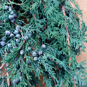 Fragrant Preserved Juniper Pine Greenery: Winter Holiday Decor and ...