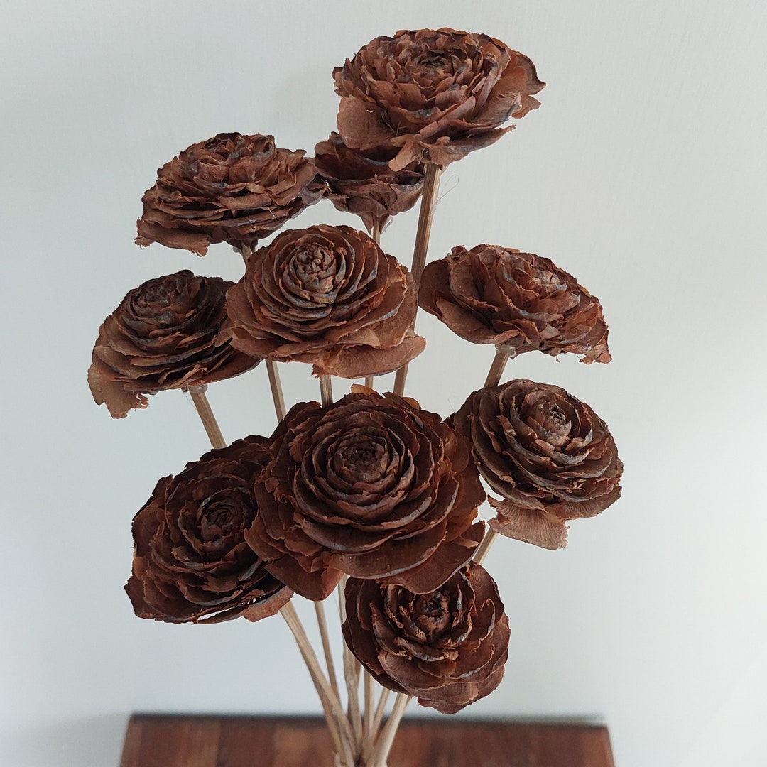 Dried Natural Cedar Roses 2 2.5 Head 12 Stems - Etsy