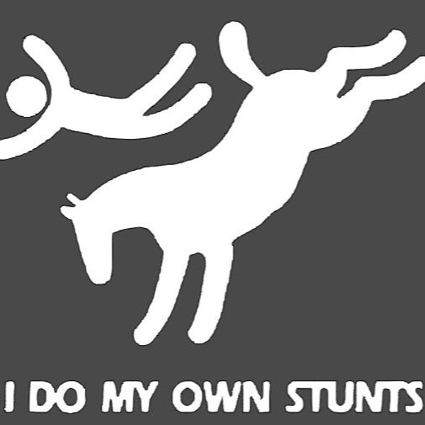 I Do My Own Stunts Svg - Etsy