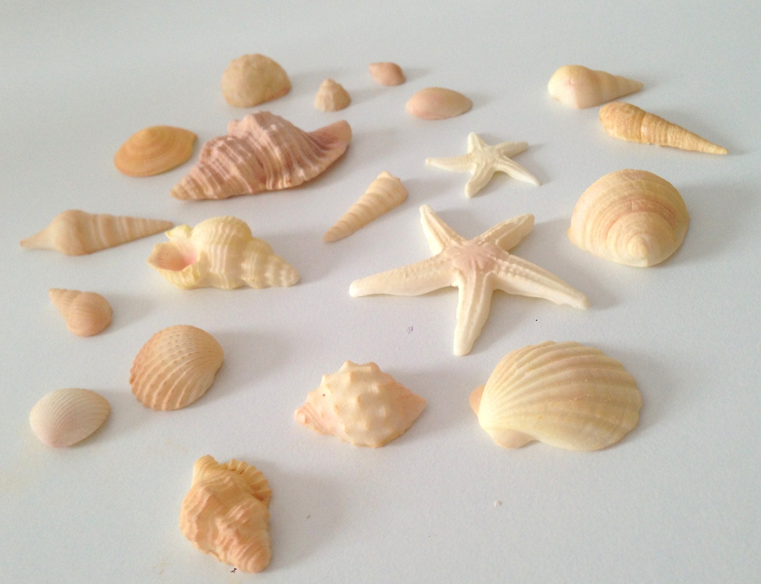 20 Edible Sugar Seashells. Handmade to Order, Colours Can Be Altered to ...