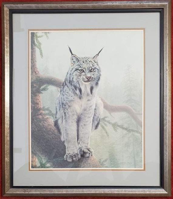 Charles Frace Canada Lynx Signed Print 26 x 30 Framed | Etsy