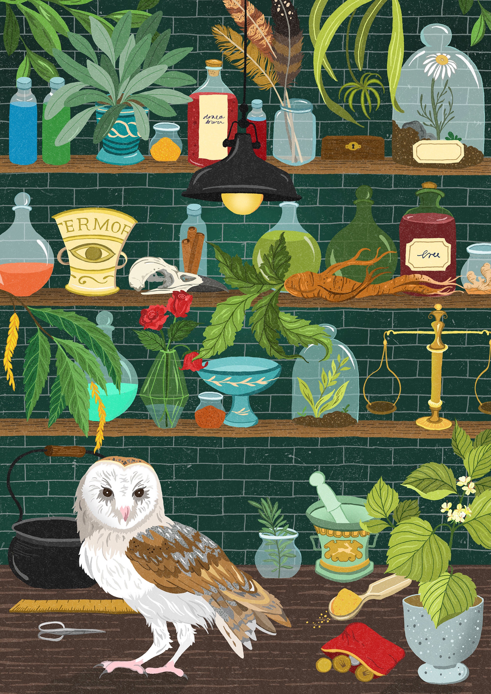 The Apothecary Print - Etsy
