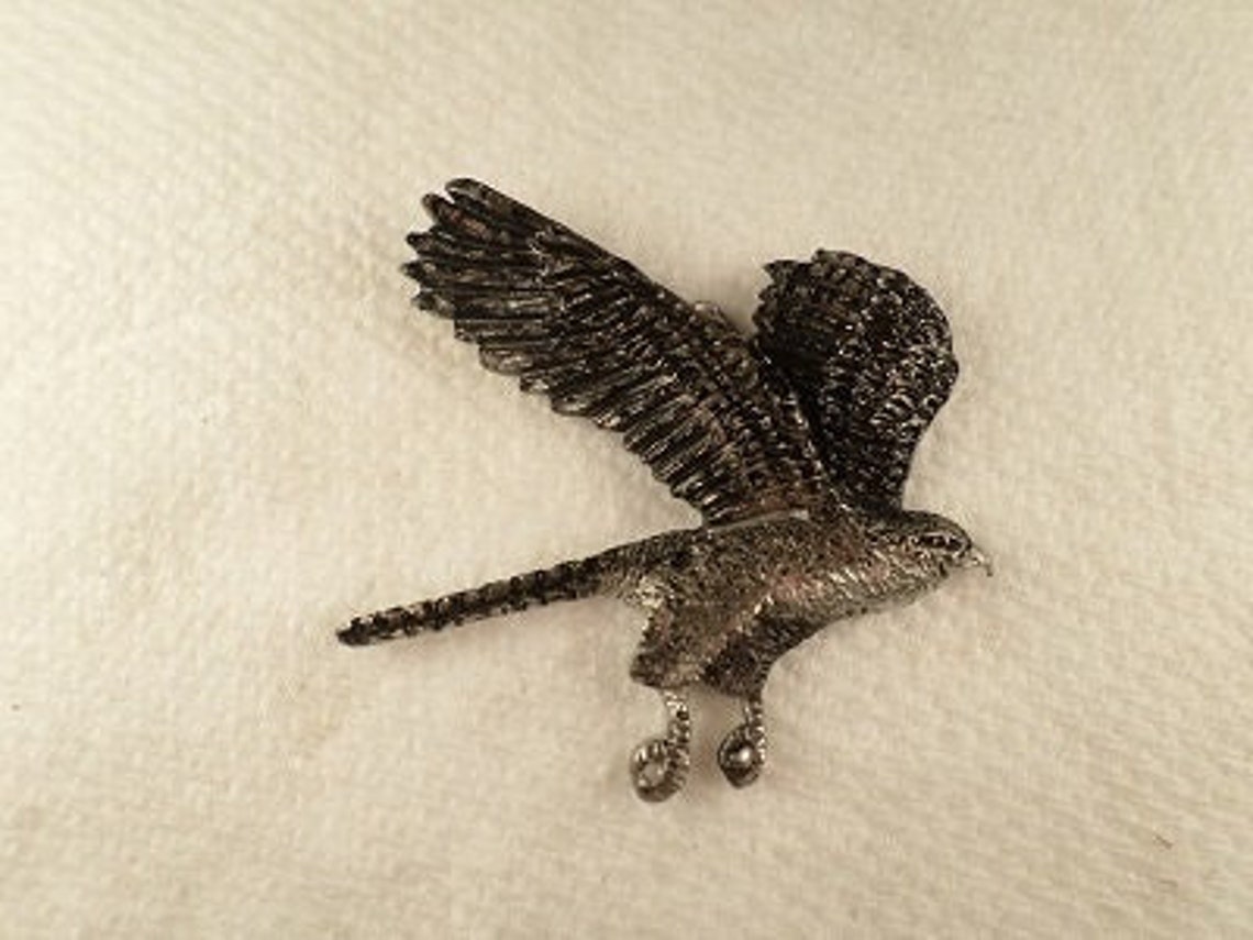 Goshawk ..new " Hunter" - Etsy