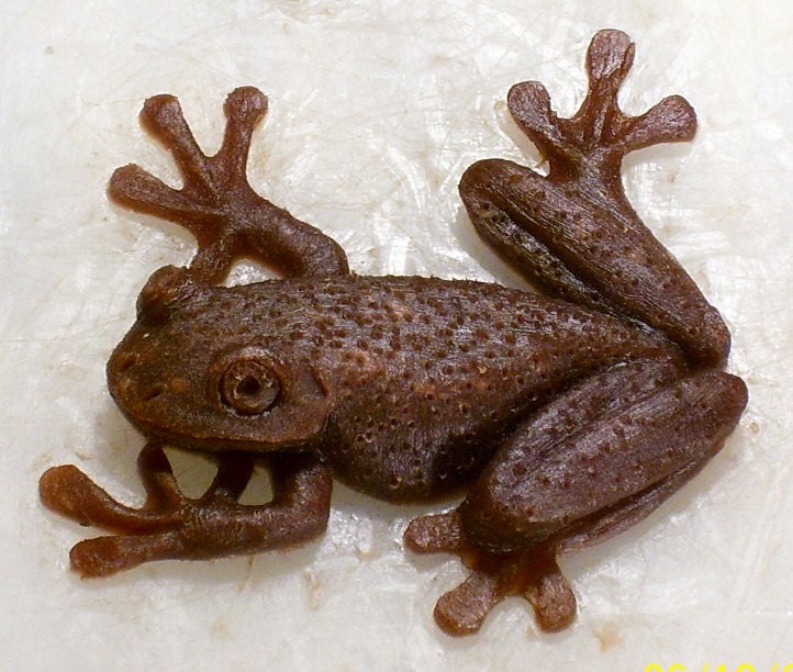 Tree Frog 3.. New Design. - Etsy
