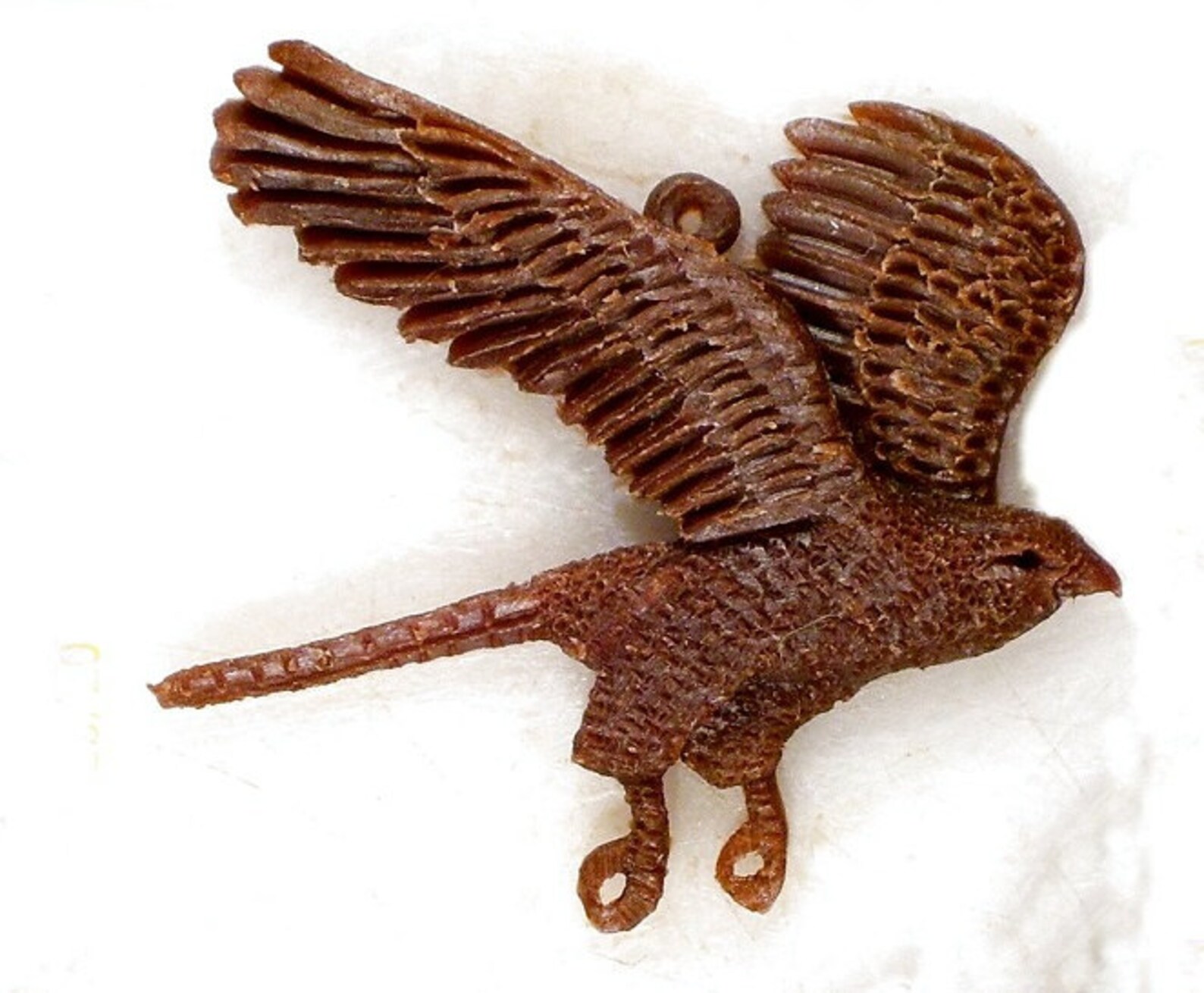 Goshawk ..new " Hunter" - Etsy
