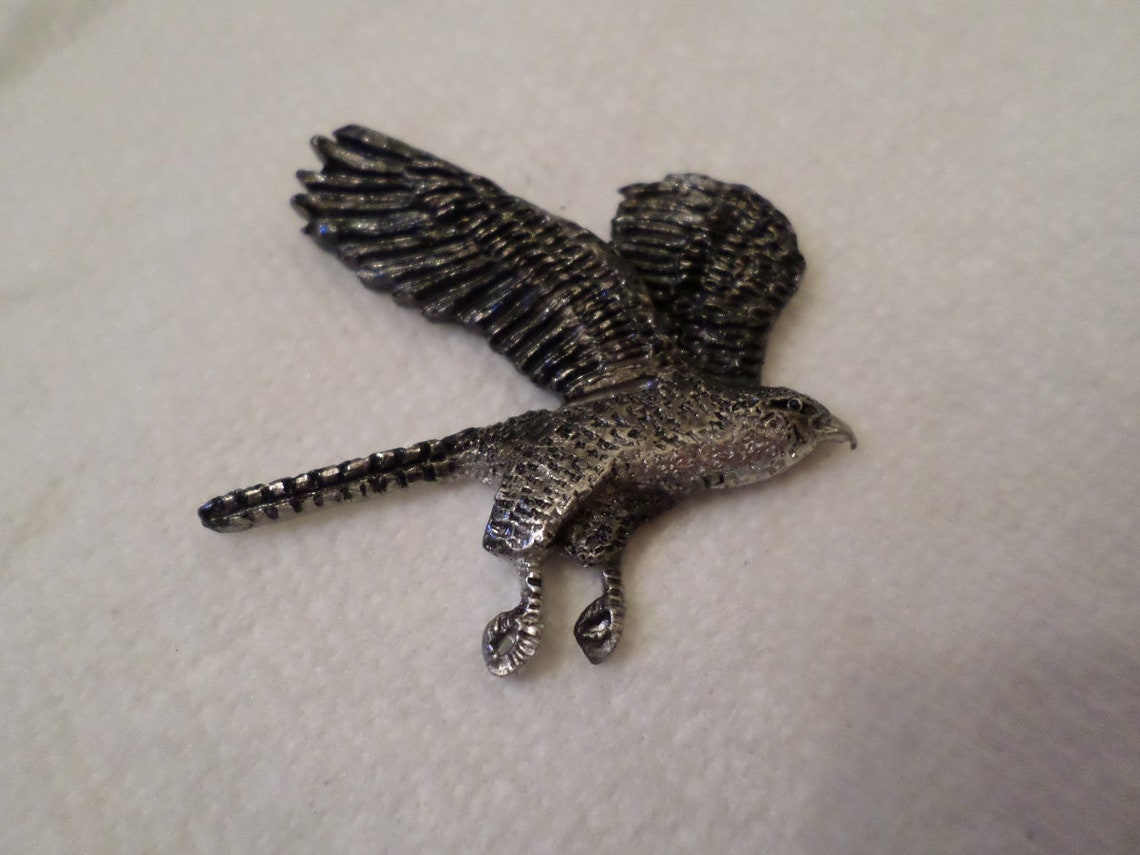 Goshawk ..new " Hunter" - Etsy