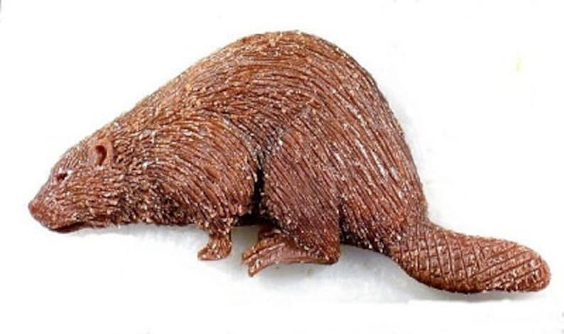 New Design Beaver - Etsy