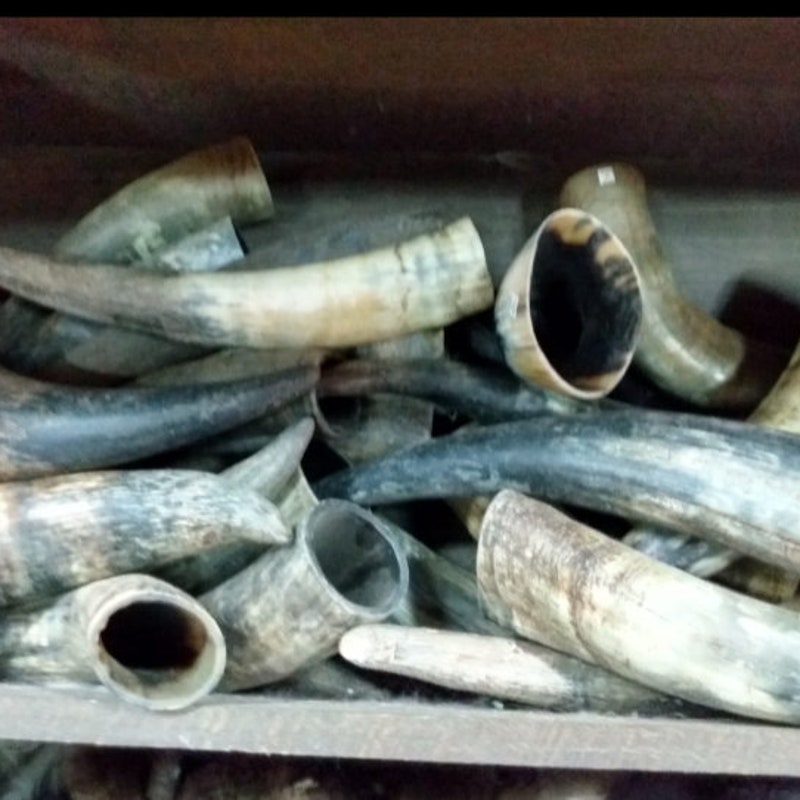 Solid Horn Raw - Etsy