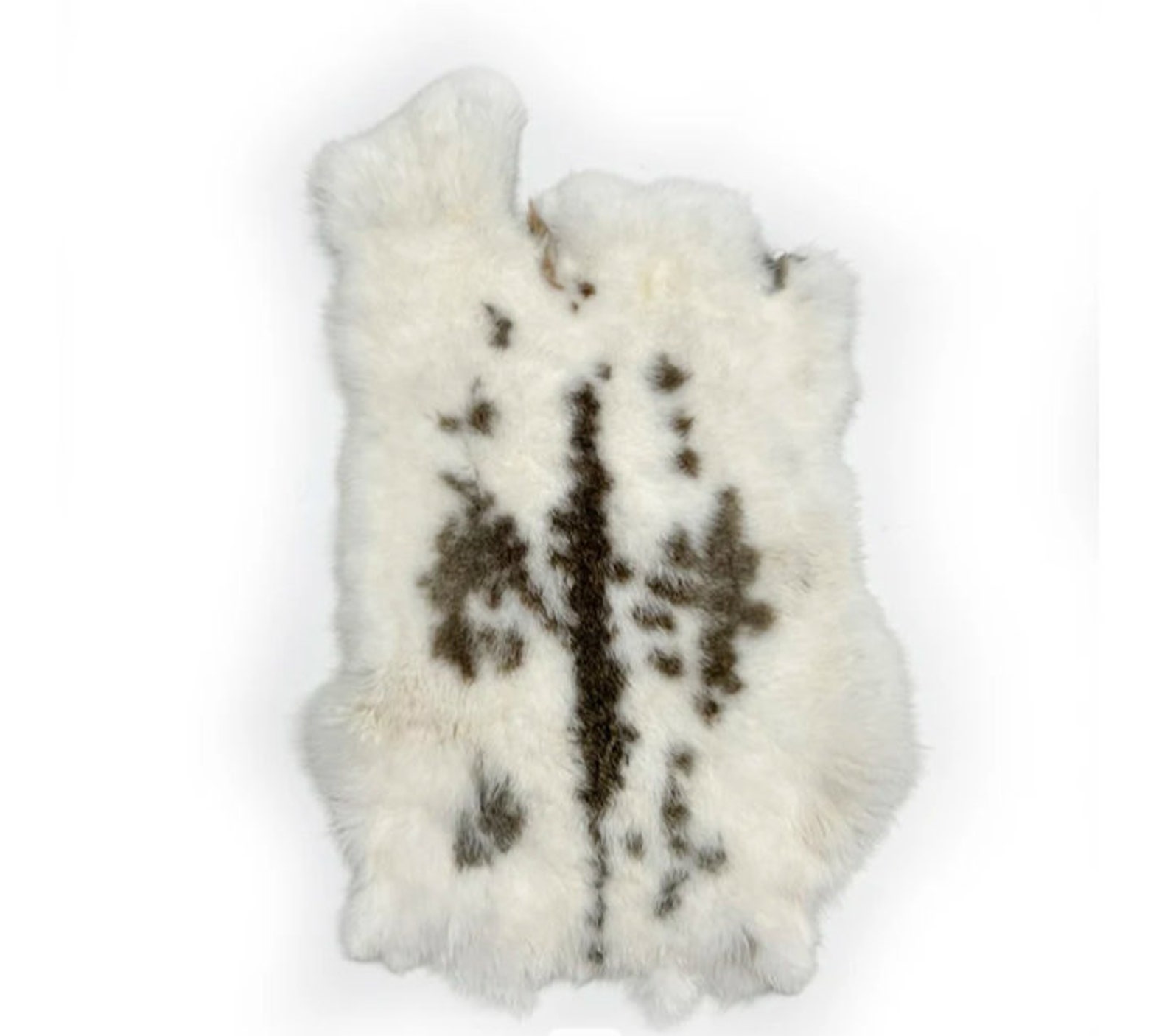 Extra Large Rex Rabbit Pelt, Soft Tanned Hide - Etsy
