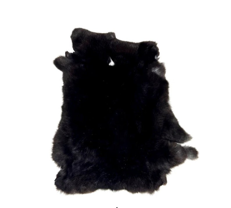 Extra Large Rex Rabbit Pelt, Soft Tanned Hide - Etsy