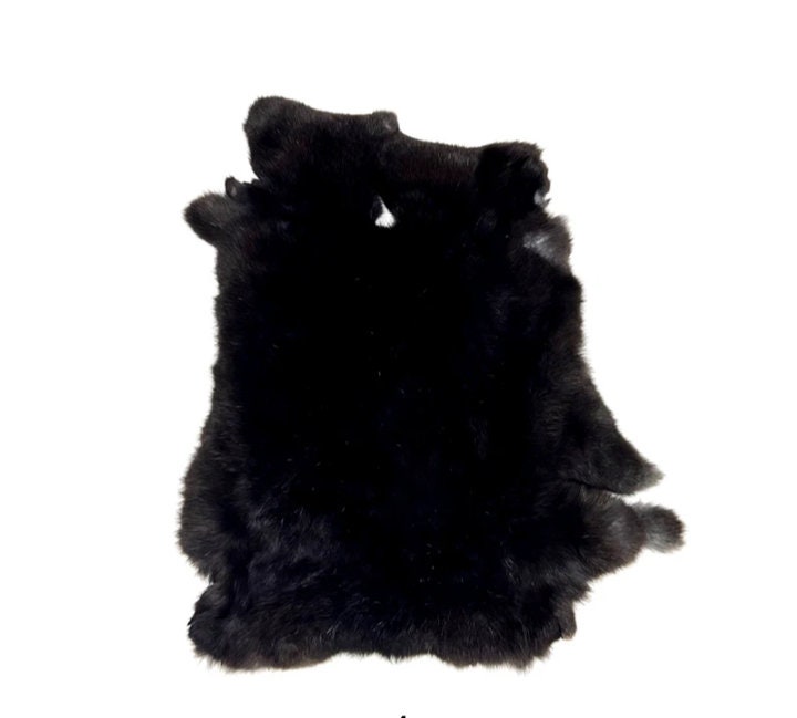 Rex Rabbit Furs, Rabbit Hides, Rabbit Pelts, - Etsy