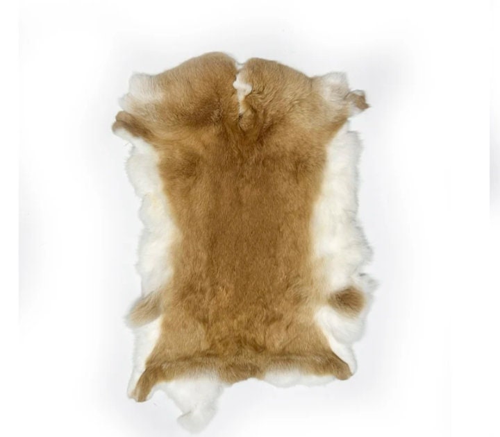 Rex Rabbit Furs, Rabbit Hides, Rabbit Pelts, - Etsy
