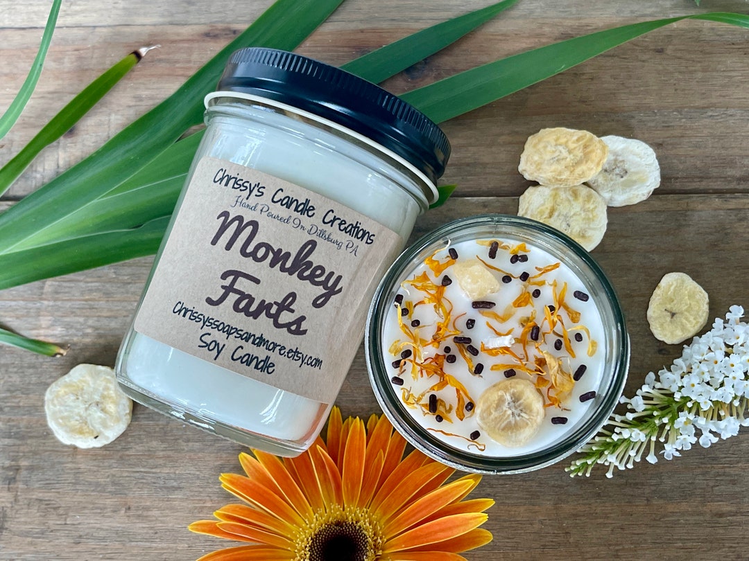 Monkey Farts Scented Soy Candle: Banana Kiwi Fruity Aroma - Etsy