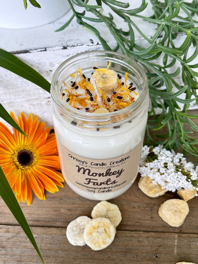 Monkey Farts Scented Soy Candle: Banana Kiwi Fruity Aroma - Etsy