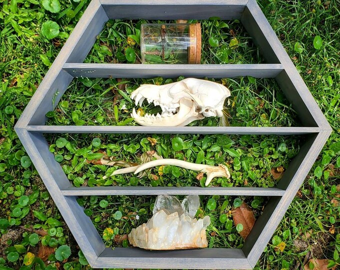 Honey Comb Hexagon Stacked Wooden Display Shelf / Essential - Etsy