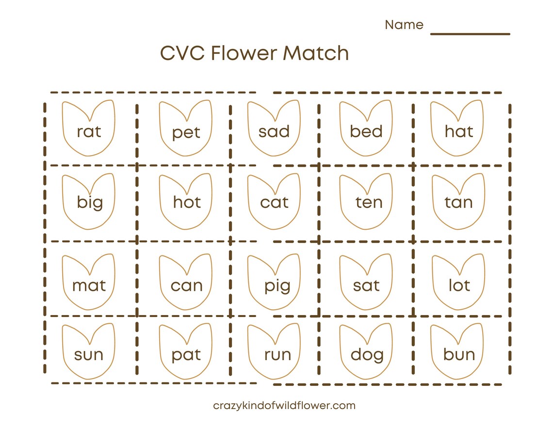 CVC & Sight Word Matching - Etsy