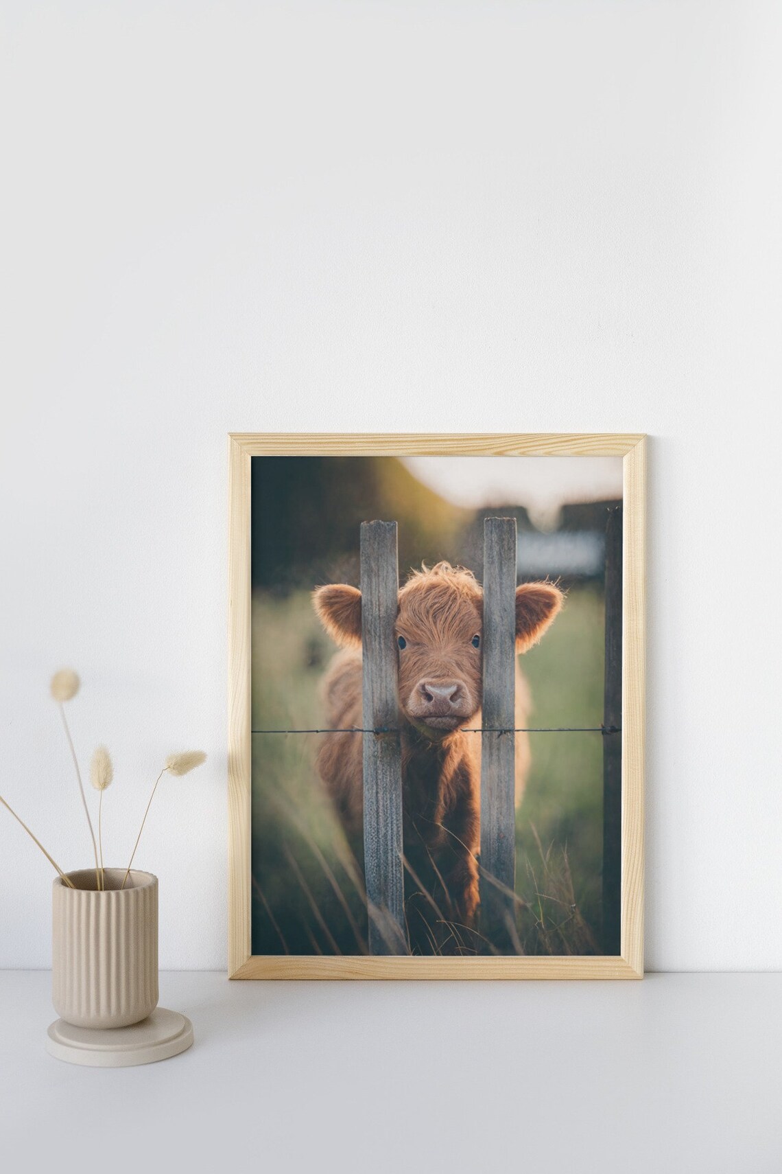 Baby Highland Cow Looking Through a Fence Farm House Decor - Etsy