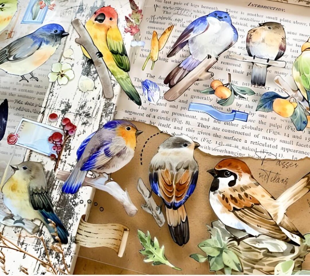 3 Birds Designs. Cartoon Birds. Loop. Glossy. Watercolor. Birds. PET ...