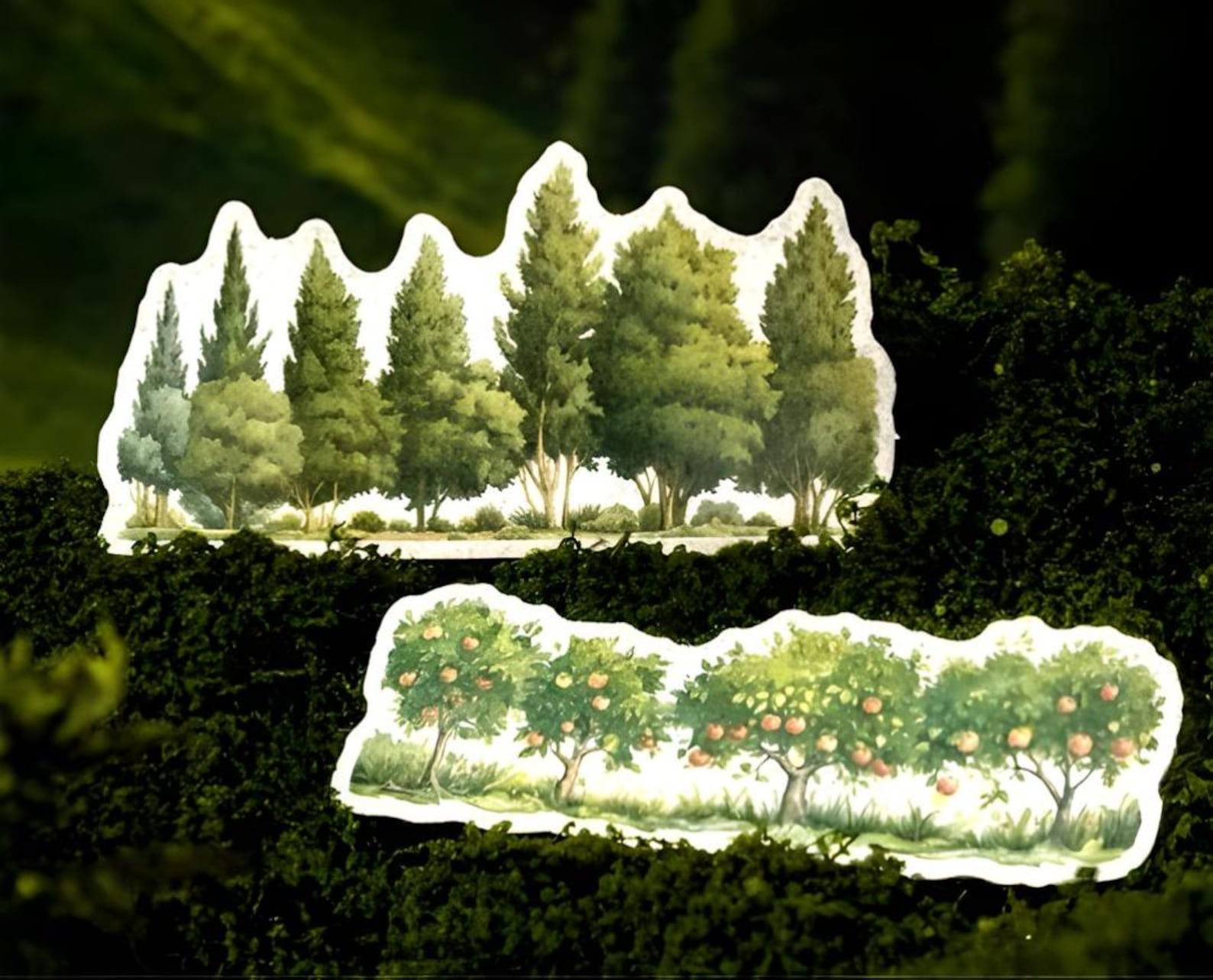20 Trees Stickers. Seasons. Fall. Winter. Spring. Cherry Blossoms ...