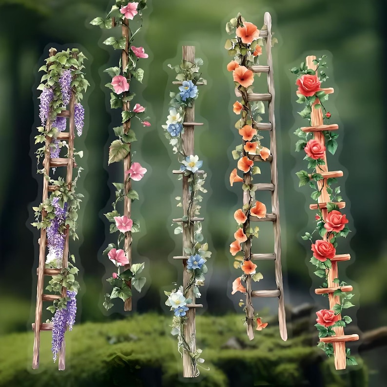 20 PET Stickers. Courtyard. Flower. Ladder. Wooden Ladder. Vine. Plants ...