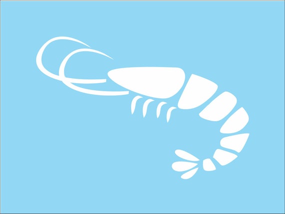 Shrimp Stencil Shrimp Seafood Stencil Shrimp Beach Stencil | Etsy
