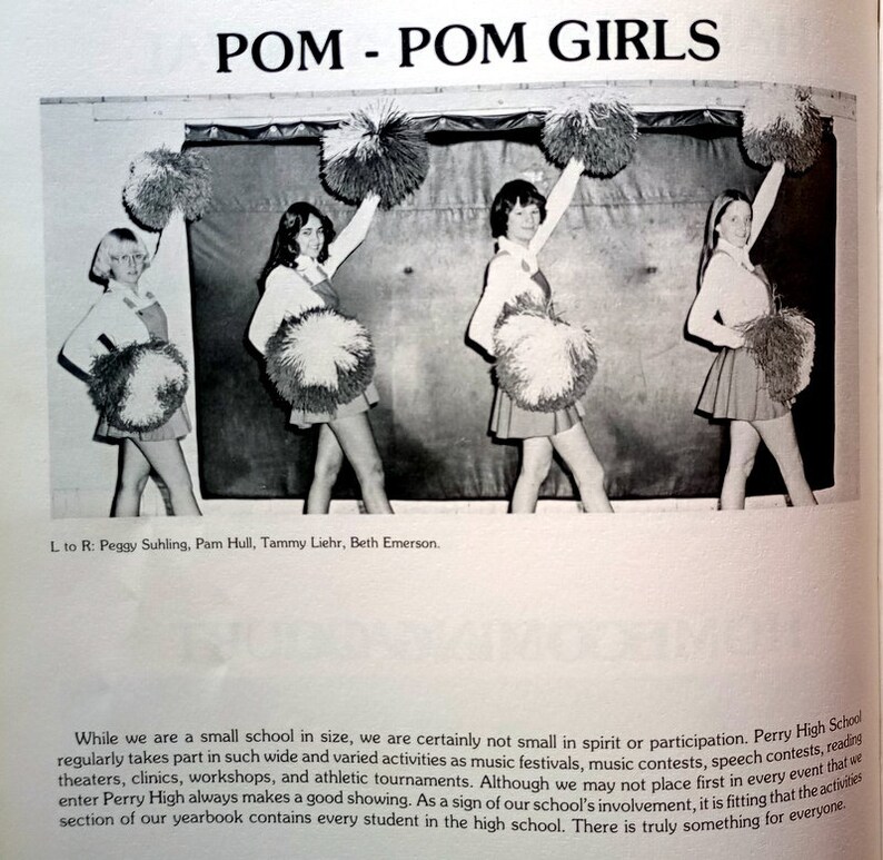 Original Vintage 1978 Pioneer Yearbook Perry Illinois High School First ...