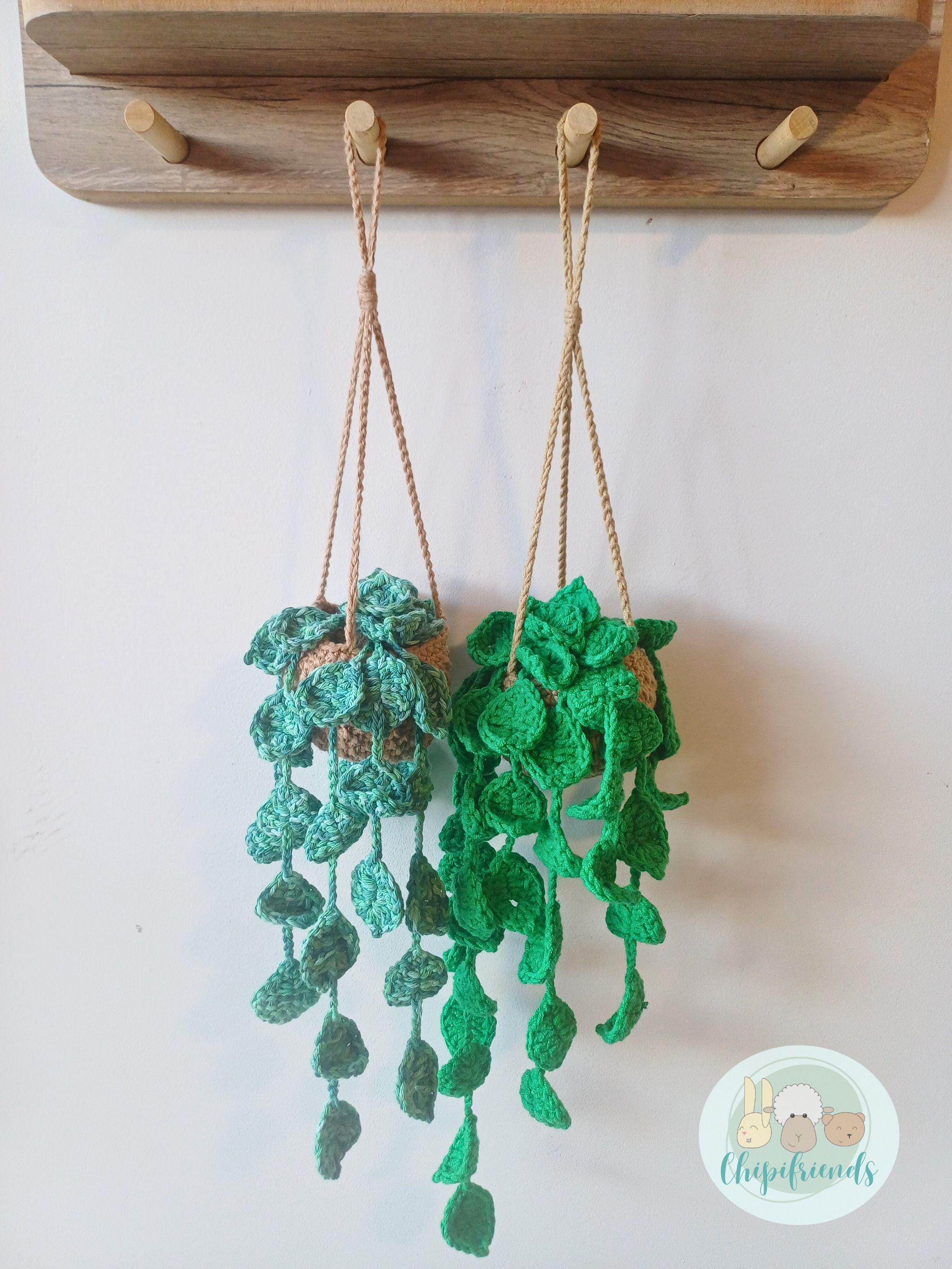 Crochet Pattern, Hanging Pothos Basket | Crochet Tiny Pothos Plant ...