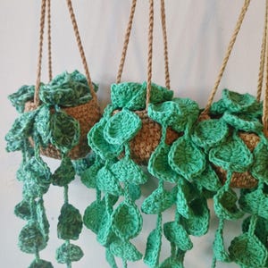 Crochet Pattern, Hanging Pothos Basket | Crochet Tiny Pothos Plant ...