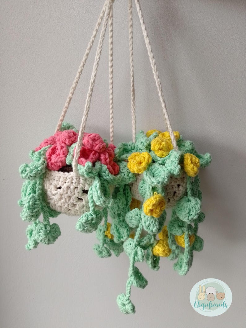 2 in 1 Crochet Plant Pattern, Hanging Monstera and Rose Plant Pattern ...