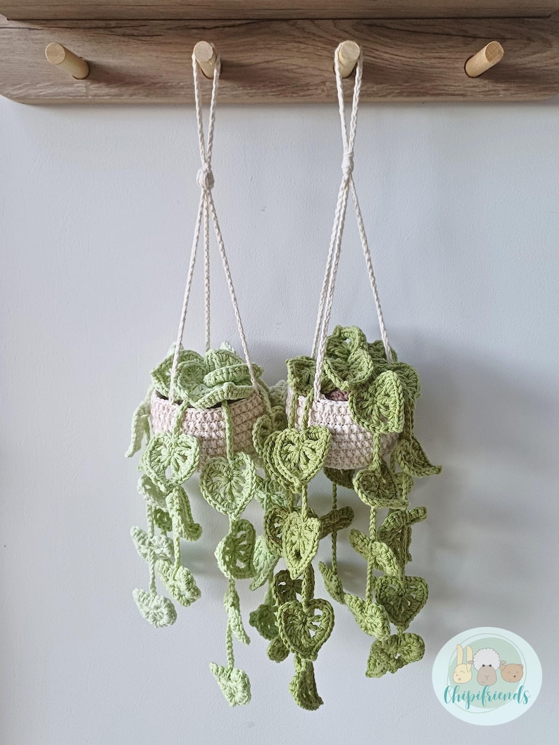 2 in 1 Crochet Plant Pattern, Hanging Monstera and Rose Plant Pattern ...