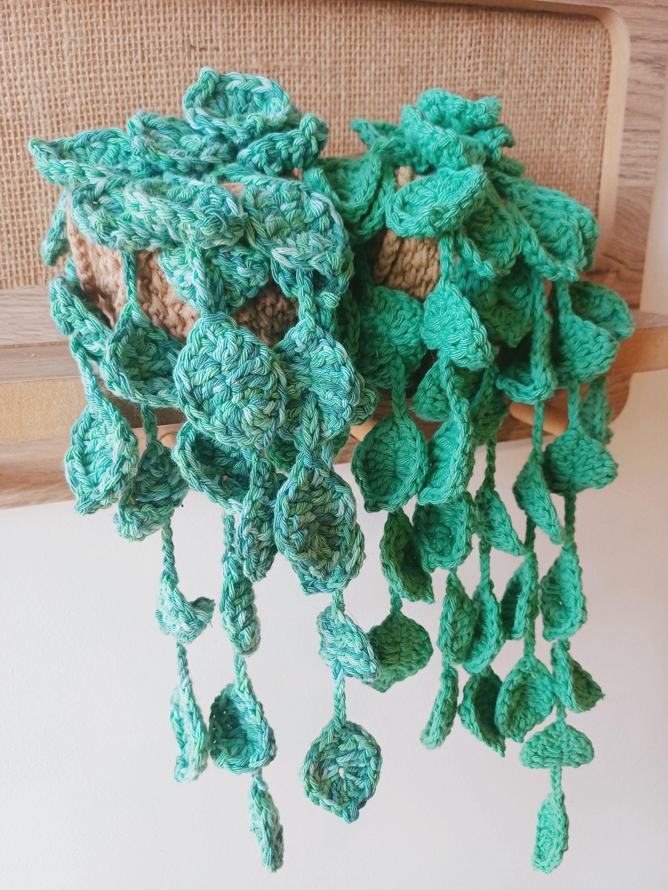 Crochet Pattern, Hanging Pothos Basket | Crochet Tiny Pothos Plant ...