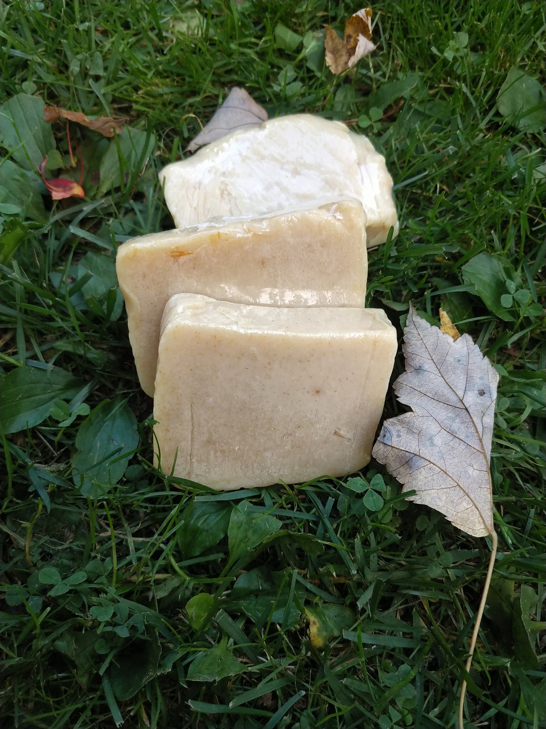 Natural Garlic Soap - Etsy